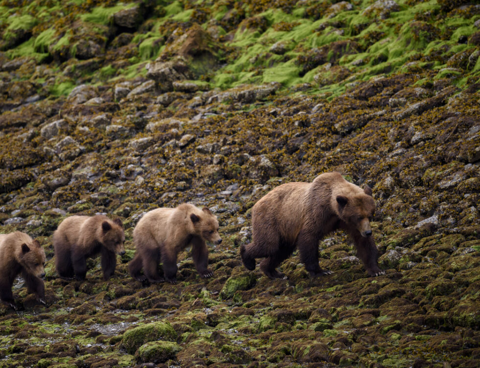 Experience s & Fun Things to Do | Visit Prince Rupert